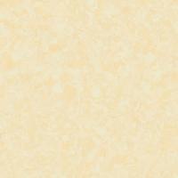 China Cleanroom Homogeneous Vinyl Sheet Flooring 2m Vinyl Floor For Hospital for sale