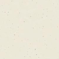 China Relle Homogeneous Flooring Ultimate Combination of Durability and Design for Healthcare Spaces for sale