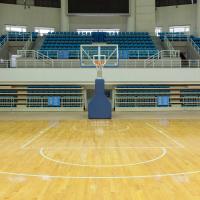 China Professional Interior Sports Interlocking Flooring For Superior Sports Flooring Solutions for sale