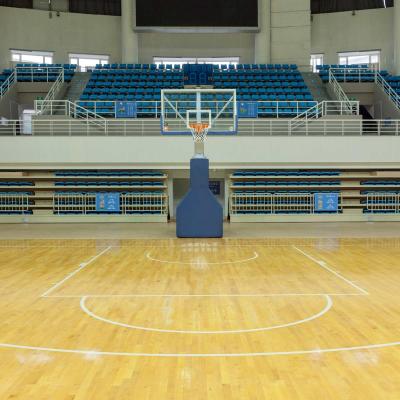 China Professional Interior Sports Interlocking Flooring For Superior Sports Flooring Solutions for sale