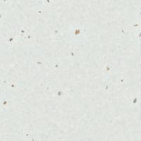 China 3.0mm Thickness Homogeneous Flooring Sustainable High Stain Resistance for sale