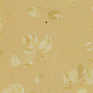 China Rubber Flooring Perfect Solution For Slip-Resistant And Shock-Absorbent Spaces for sale