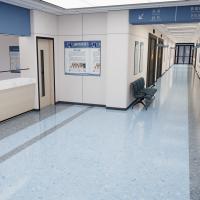 China Durable Antibacterial Easy-Clean Hospital Floor Vinyl for sale
