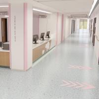 China High-Durability Antibacterial Hygienic Hospital Vinyl Floor for sale