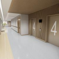 China Comprehensive Elder-Care Flooring for Nursing Homes – Medical-Grade Homogeneous Hygienic Style for sale