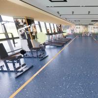 China Fitness Studio Wear-Resistant Emery Safety Flooring for sale