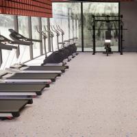 China Gym Area Anti-slip Wear-proof Safety Emery Protection Floor for sale