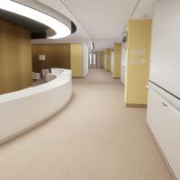 China Relle Ward Area R11 Anti-Slip Carborundum Flooring (Quiet Wear-Resistant Medical Type) for sale