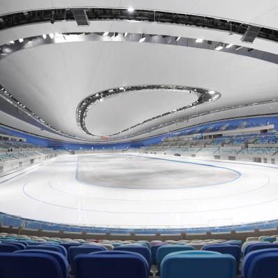 China Professional PTFE tensile membrane roofing for national speed skating center for sale