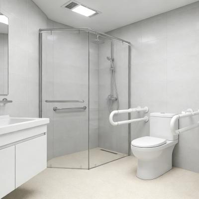 China Hospital Anti-Collision Armrest Double-Layer Toilet Grab Bar for Elderly and Disabled for sale