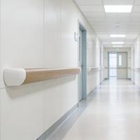 China Wood Grain PVC Anti-Collision Handrail with Aluminum Core for Healthcare Facilities for sale
