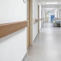 China Relle ADA-Compliant Wood Effect Corridor Handrail, Impact-Resistant for sale