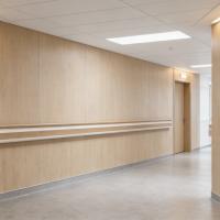 China PVC Wood Grain Handrail, Anti-Impact Wall Protection Rail for Hospital Corridors Senior Care Facilities for sale