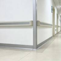China Relle Medical-Grade Wall Corner Protection Strip for sale