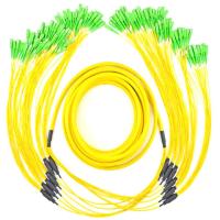 China Indoor Branch Bunch Fiber Optic Jumper 12 Core 24 Core 48 Core With LC FC SC ST Connector for sale