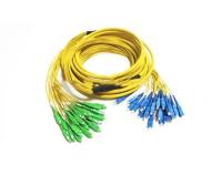 China Indoor Branch Bunch Fiber Optic Jumper 12 Core 24 Core 48 Core With LC FC SC ST Connector for sale