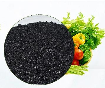 China 100% Water Soluble Humic Acid 70% Fertilizer Potassium Humate Powder Shiny Super Grade for sale