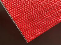 China 300gsm Woven Paper Machine Forming Wire Polyester Monofilament Filter Mesh for sale