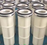 China Stainless Steel Filter Cartridge for Industrial Dust Removal with 1.5-Year Warranty and High Dust Holding Capacity for sale