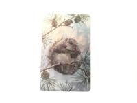 China Children Educational 30mil Animal PVC Business Cards for sale