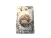 China Children Educational 30mil Animal PVC Business Cards for sale