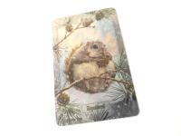 China Children Educational 30mil Animal PVC Business Cards for sale