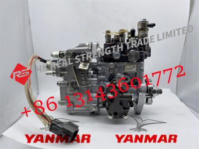 China Diesel Engine Fuel Pump 729236-51412 729242-51380 For JISION Excavator for sale