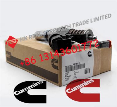 China Common Rail Diesel Fuel QSM11 M11 Injector 4061851EA 4061851 4307547 4307547EA for sale