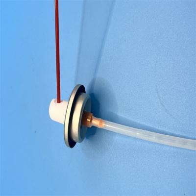 China Natural Standard Dip Tube Spray Paint Valve with Stainless Steel Spring and Buna Gasket for sale