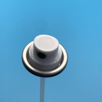 China High-Performance Stainless Steel Spring Spray Paint Valve with Buna Outer Gasket for sale