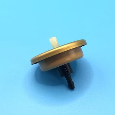 China Travel Friendly Hair Mousse Spray Valve Styling on the Go for sale