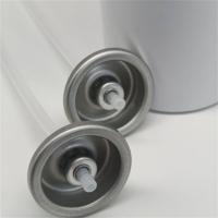 China Environment - Friendly Dry Shampoo Spray Valve for Green Cosmetics with Recyclable Materials for sale