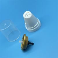 China Hair Mousse Spray Valve For Professional Hair Styling Aerosol Foam Dispenser Valve For Salons for sale
