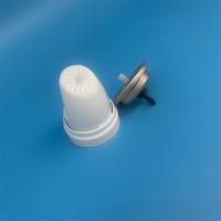 China Versatile Hair Mousse Spray Nozzle for Creative Styling - Targeted Application, Easy Maintenance for sale