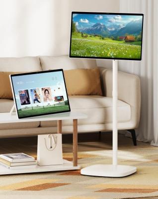 China 1920*1080 Commercial Display 24 Inch Bestie Portable Mobile TV Screen for sale