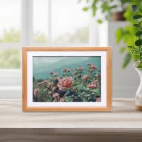 China YZY 13.3 Inch Smart Digital Photo Frame with E Ink Spectra 6 Full Color Display and Low Power Consumption for Indoor Advertising for sale