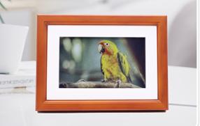 China YZY 7.3 Inch Smart Digital Photo Frame with E Ink Spectra 6 Full Color Display and Low Power Consumption for Indoor Advertising for sale