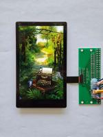 China 3.97 Inch 480x800 Resolution TFT LCD Touch Screen Display Module with MIPI Interface and Capacitive Touch Panel for sale