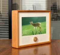 China 7 Inch Smart Music Photo Frame 1024*600 Resolution 300cd/m² Capacitive Touch Screen 2.4GHz WiFi Type C 5V2A for sale