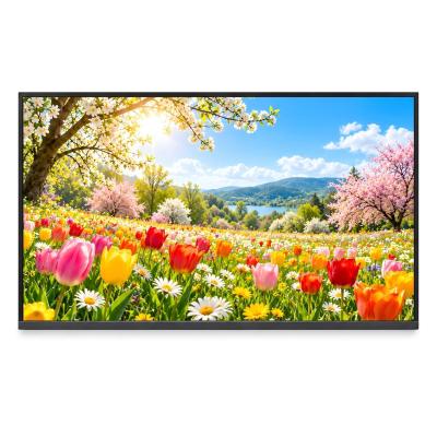 China 21.5 Inch BOE DV215FHB-N11 TFT LCD Panel 1920x1080 FHD 30 Pin LVDS Display for sale