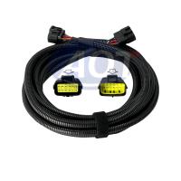 China Custom Automotive Connector AOTAI Custom TE 12PIN Connector 368537-1 174661-2 Wiring Harness 5M for Automotive Diagnostic for sale