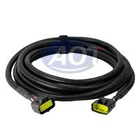 China Custom Automotive Connector AOTAI Custom TE 12PIN Connector 368537-1 174661-2 Wiring Harness 5M for Automotive Diagnostic for sale