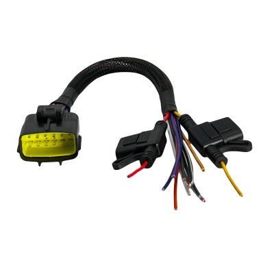 China 12V/24V BAIC Car Fitment Custom Wiring Harness With TE 12PIN Connector And Fuse for sale