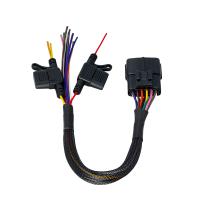 China 12V/24V BAIC Car Fitment Custom Wiring Harness With TE 12PIN Connector And Fuse for sale