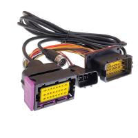 China Custom Wire Harness For Combination Crossovers 12V Car Audio Amplifier for sale