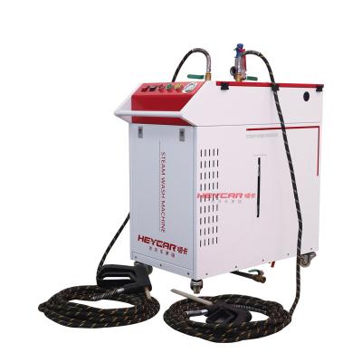 China Best Portable High Temperature Double Steam Gun High Pressure Steam Cleaner for Outdoor Living and Car Washing for sale