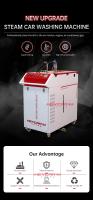 China Stainless Steel Water tank Car Parts Cleaning Machine With Double Steam Guns Steam Car Wash Machine for sale