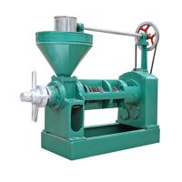 China KG Industrial Oil Extractor High Oil Yield Cold Pressed Rosehip Oil Press Automatic Moringa Oil Pressers Pressing Machine for sale