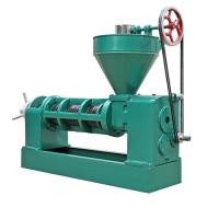 China KG Industrial Oil Extractor High Oil Yield Cold Pressed Rosehip Oil Press Automatic Moringa Oil Pressers Pressing Machine for sale
