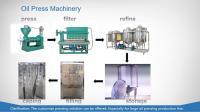 China Farms Sunflower Oil Making Machine Cold Press Mustard Oil Machine with 150-300kg/h Capacity and Carbon Steel Material for sale